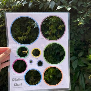 DILATION CHART 1-10cm Laminated With Cutouts (childbirth Educator Tools ...