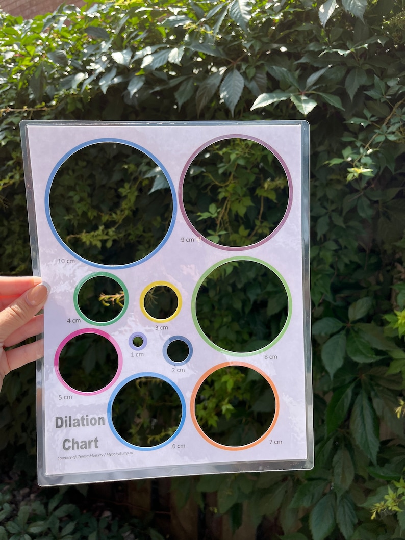 DILATION CHART 1-10cm Laminated With Cutouts (childbirth Educator Tools ...