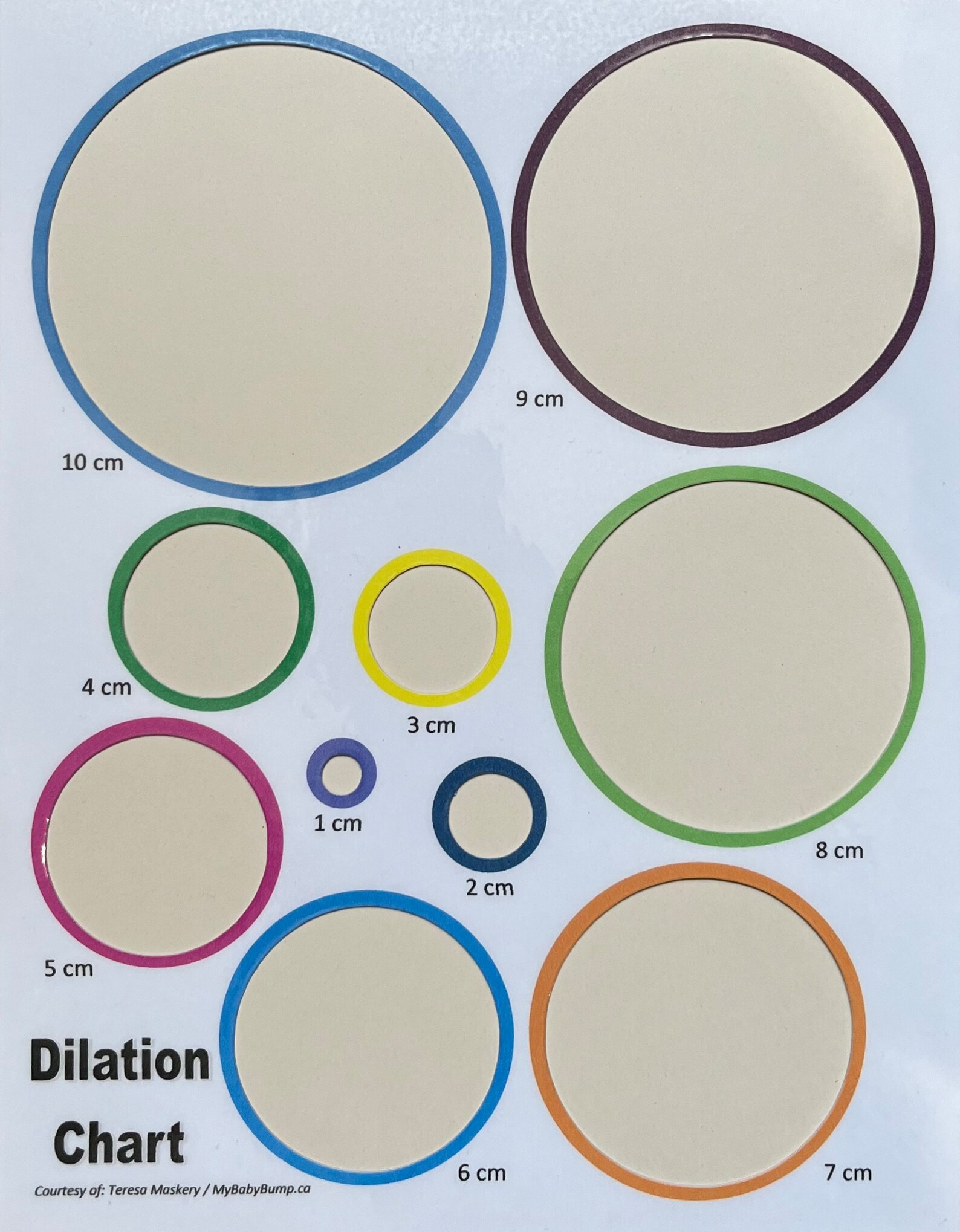 DILATION CHART 1-10cm Laminated With Cutouts (childbirth Educator Tools ...
