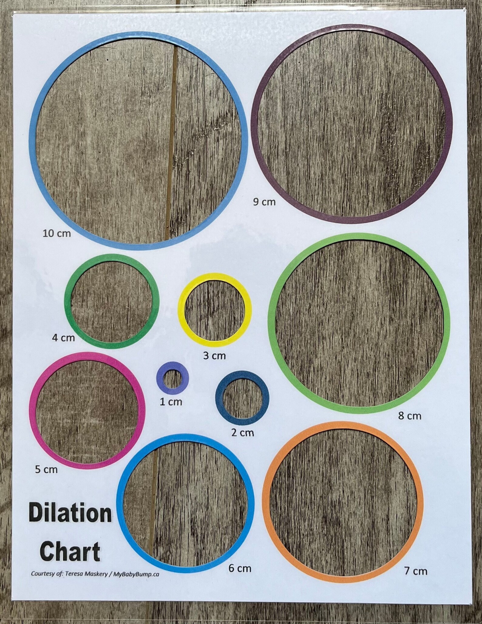 DILATION CHART 1-10cm Laminated With Cutouts childbirth Educator Tools ...