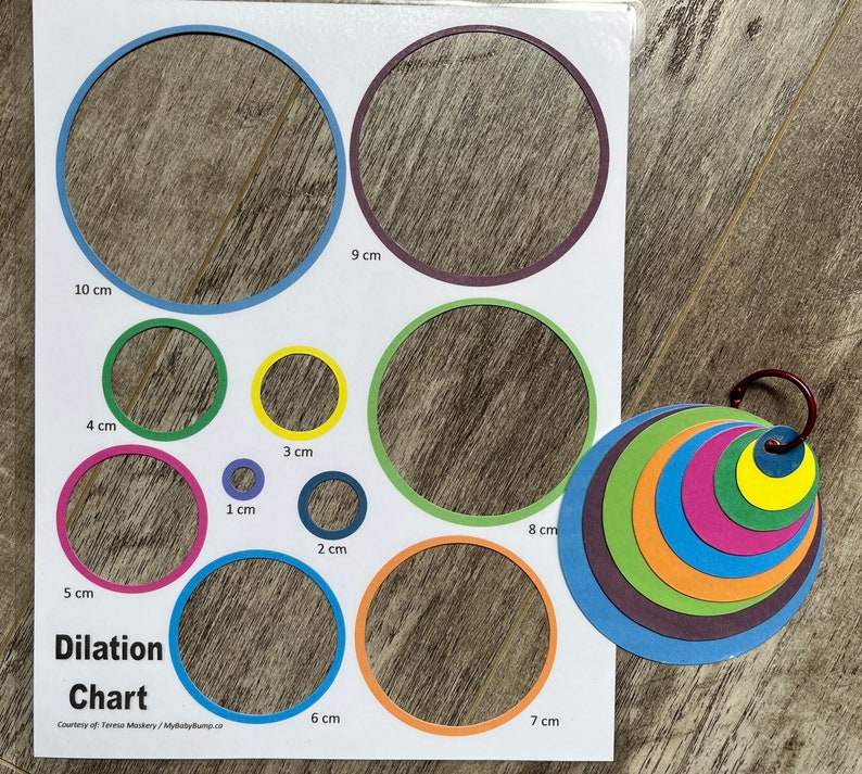 DILATION PACK: Chart and Circles 1-10cm Laminated (childbirth Educator ...
