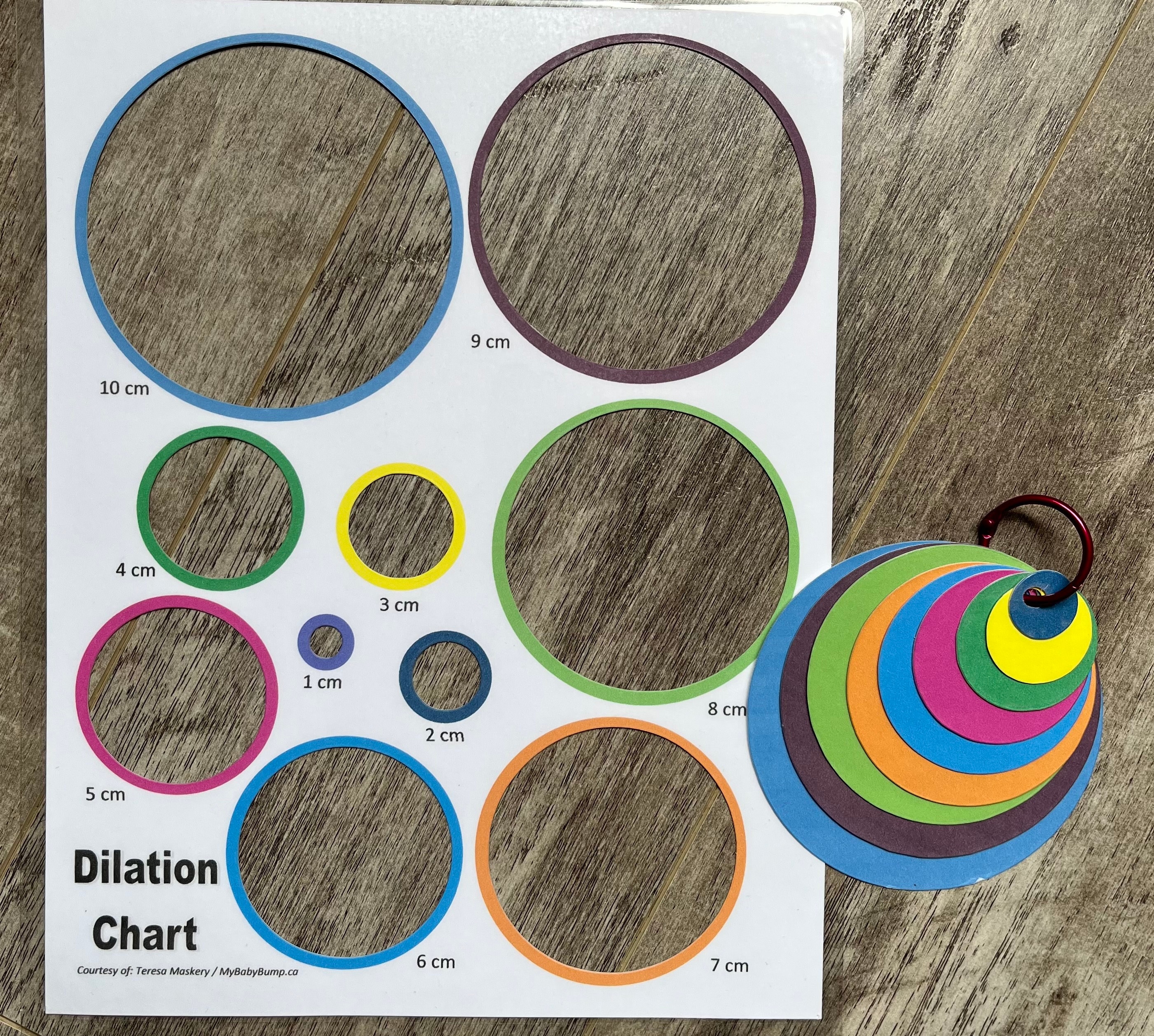 DILATION PACK: Chart and Circles 1-10cm Laminated (childbirth Educator ...