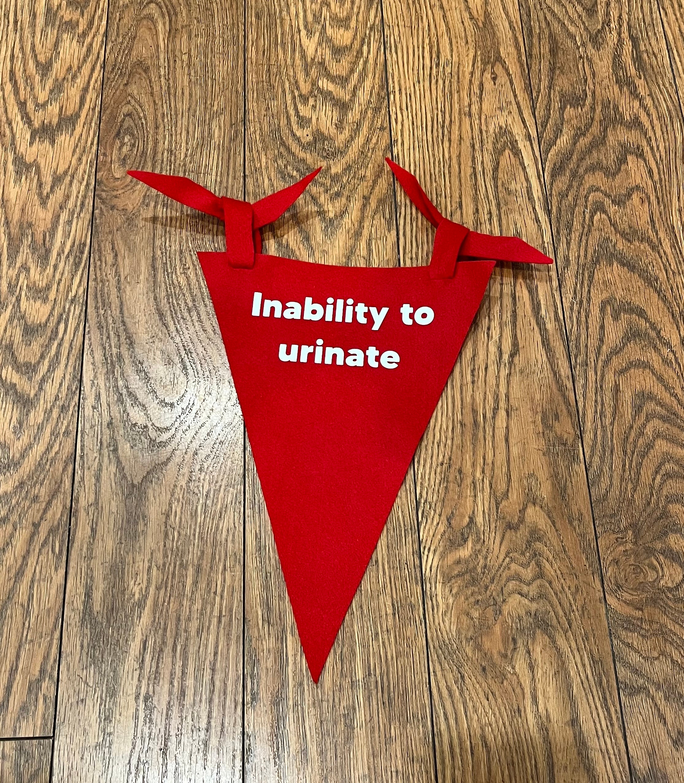 Postpartum Red Flags ACTIVITY (childbirth Educator Supplies) - Etsy