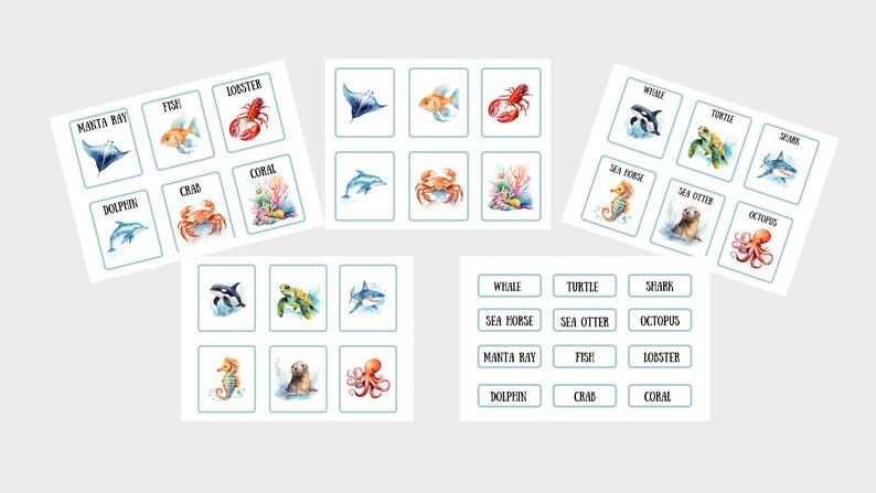 Wonders of the Sea Flash Cards - Etsy