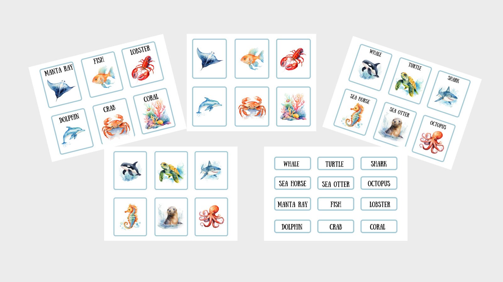 Wonders of the Sea Flash Cards - Etsy