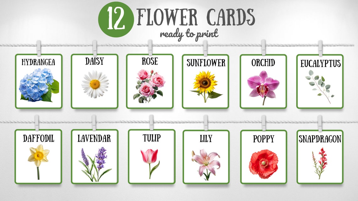 Wonders of Flowers Flash Cards - Etsy