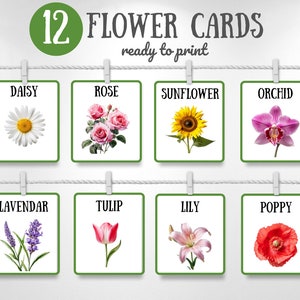 Wonders of Flowers Flash Cards - Etsy