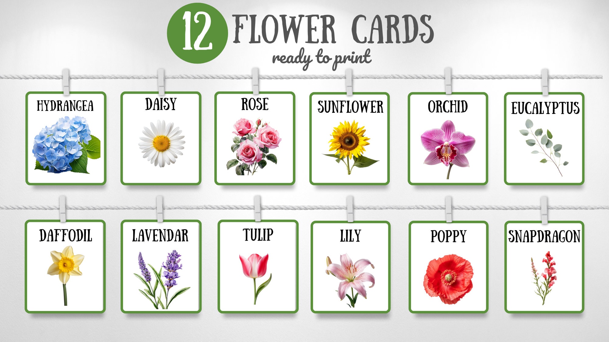 Wonders of Flowers Flash Cards - Etsy
