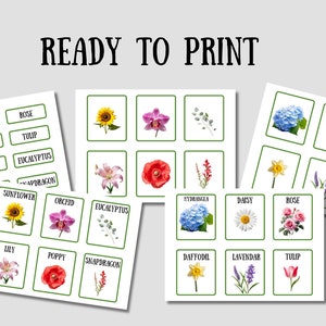 Wonders of Flowers Flash Cards - Etsy