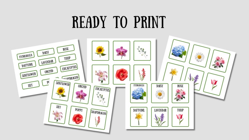 Wonders of Flowers Flash Cards - Etsy