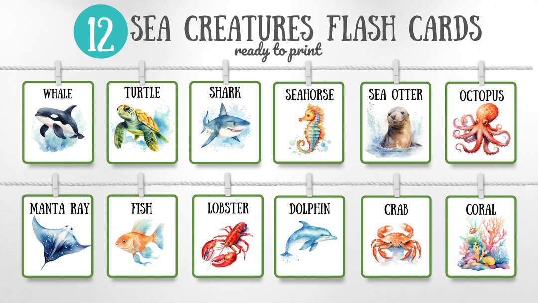 Wonders of the Sea Flash Cards - Etsy