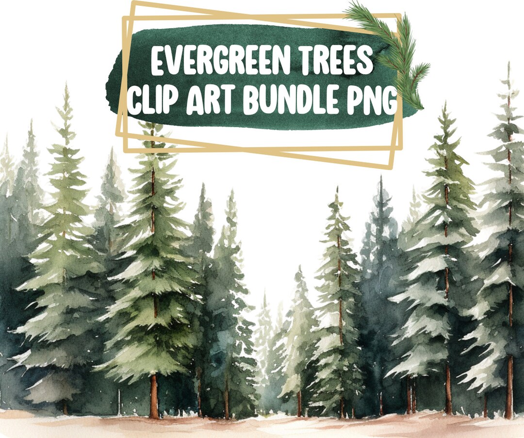 Watercolor Pine Trees Clipart Watercolor Forest Download - Etsy
