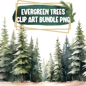 Watercolor Pine Trees Clipart Watercolor Forest Download - Etsy