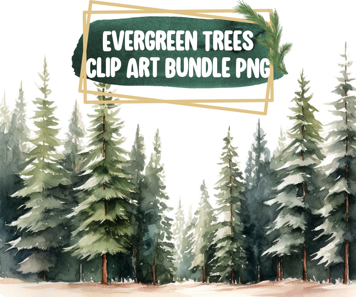 Watercolor Pine Trees Clipart Watercolor Forest Download - Etsy