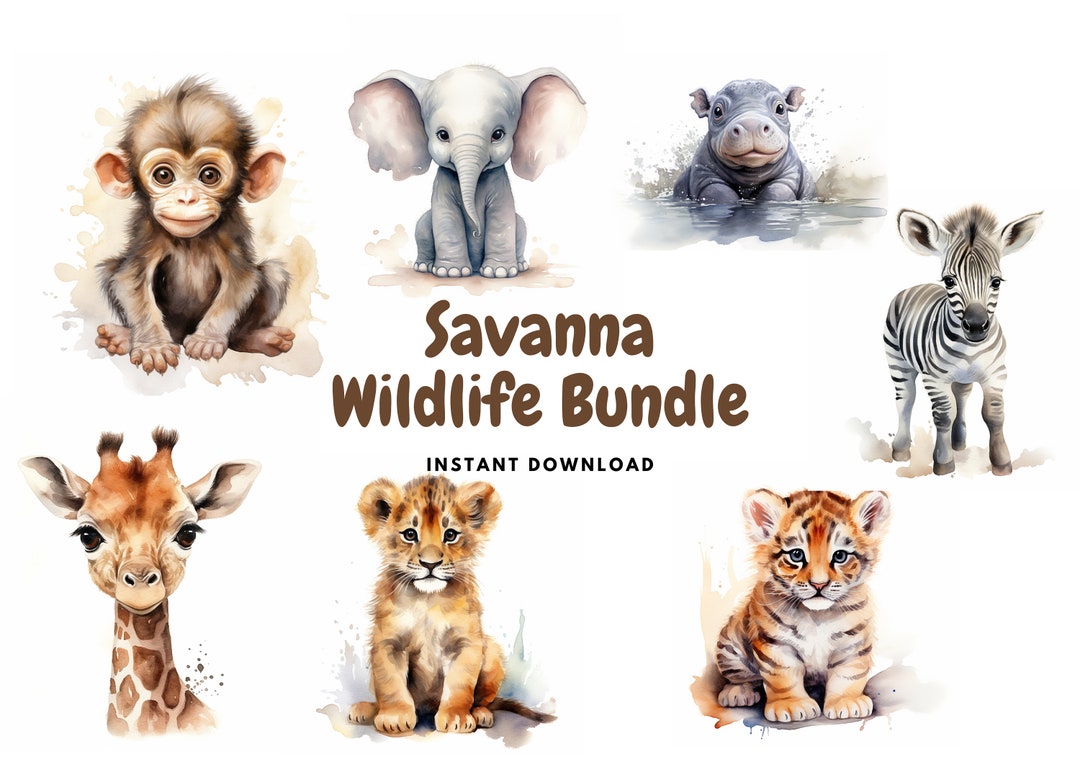 Animal Clip Art Bundle Watercolor Safari Animal Clipart Baby Animals ...