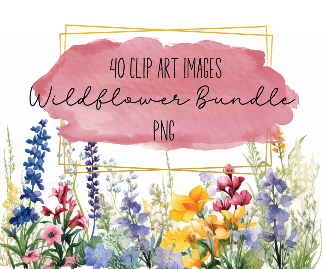 Wildflower PNG Clip Art Bundle Wildflower Clipart PNG Images High ...