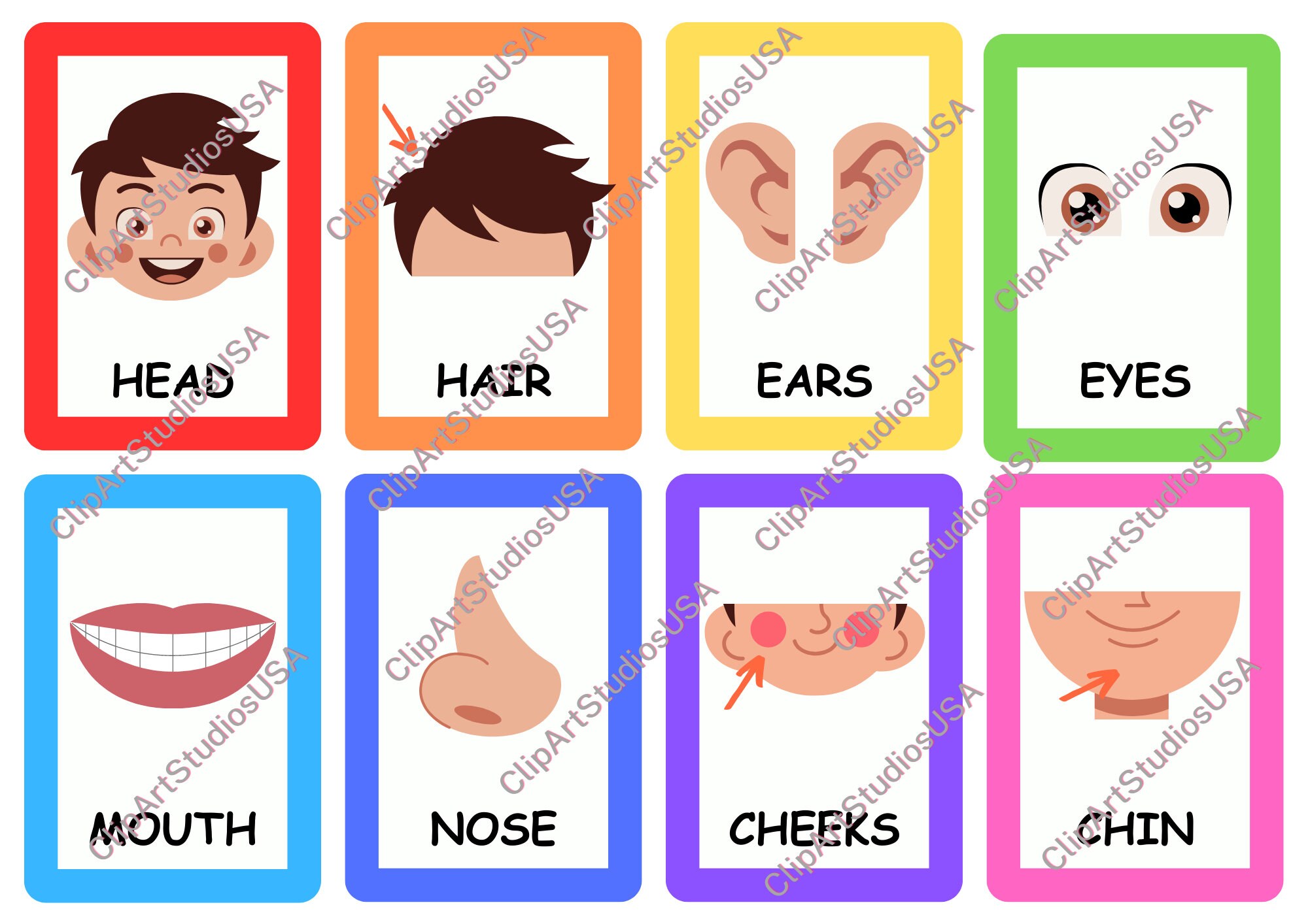 Discover My Body: Interactive Kids Flashcards for Body Parts - Etsy