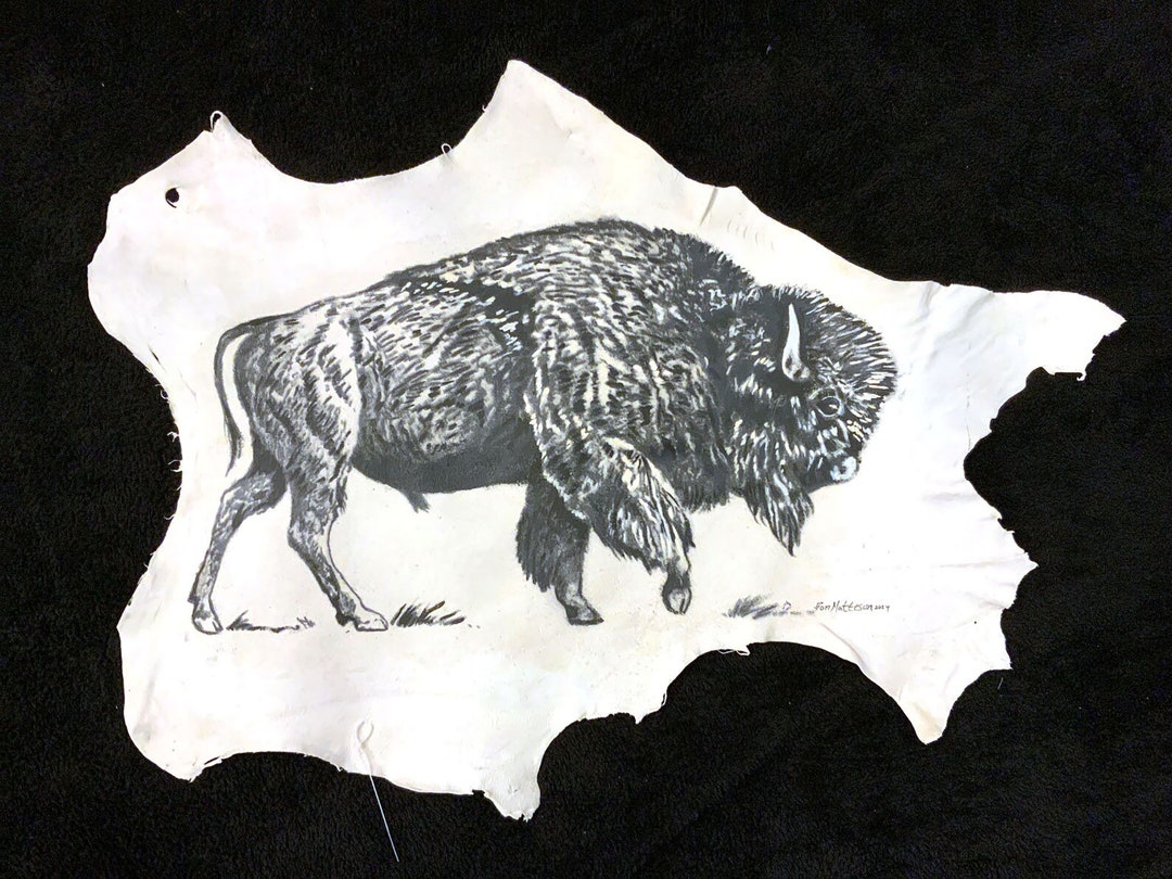Buffalo Painted on White Buckskin 35” X 26” - Etsy