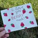 Hand Drawn and Hand Lettered Cards - Etsy
