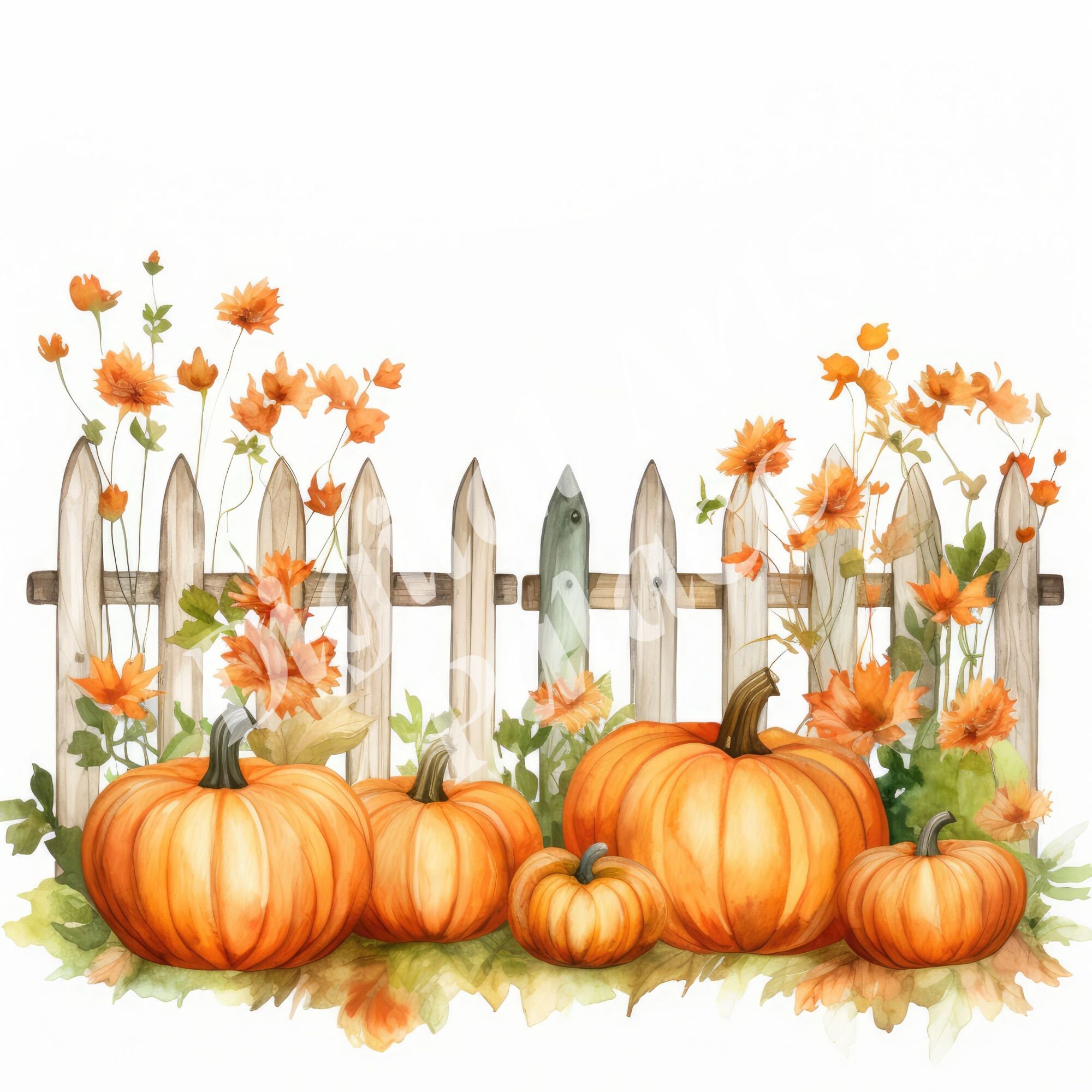 Pumpkin Fence Clipart Fall Floral Fence Clipart Jpgs Instant Digital ...