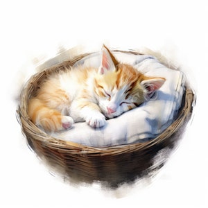 Sleeping Cat Clipart - Cute Cat Watercolor Clipart - Jpgs - Instant ...