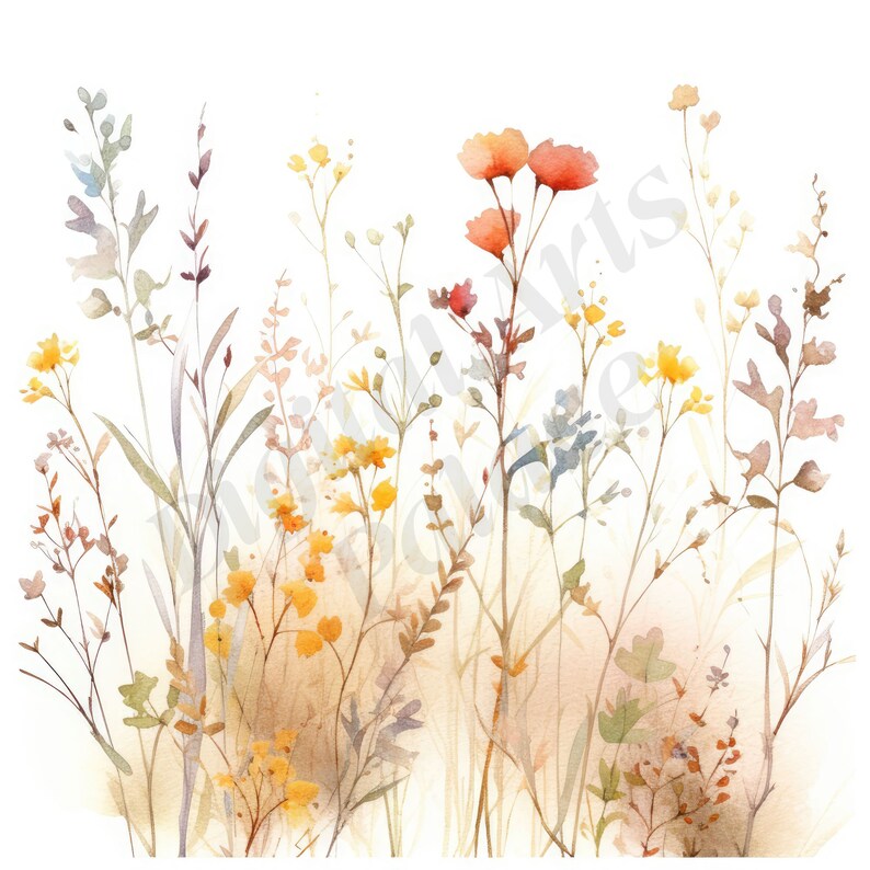 Fall Wildflowers Clipart, Watercolor Flowers Clipart, Jpgs, Instant ...