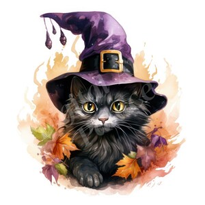 Witch's Cat Clipart Bundle - Fall Halloween Clipart - Jpgs - Instant ...