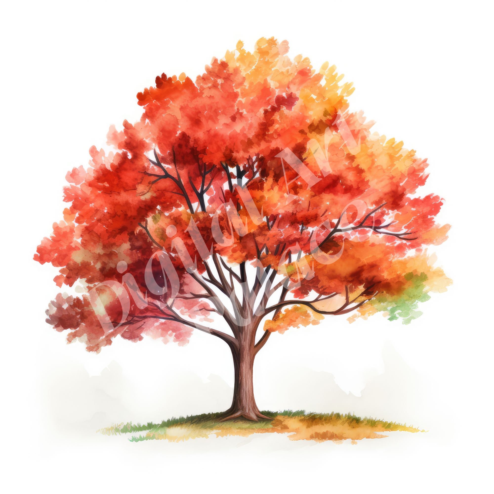 Fall Tree Clipart, Autumn Tree Clipart, Jpgs, Instant Digital Download ...