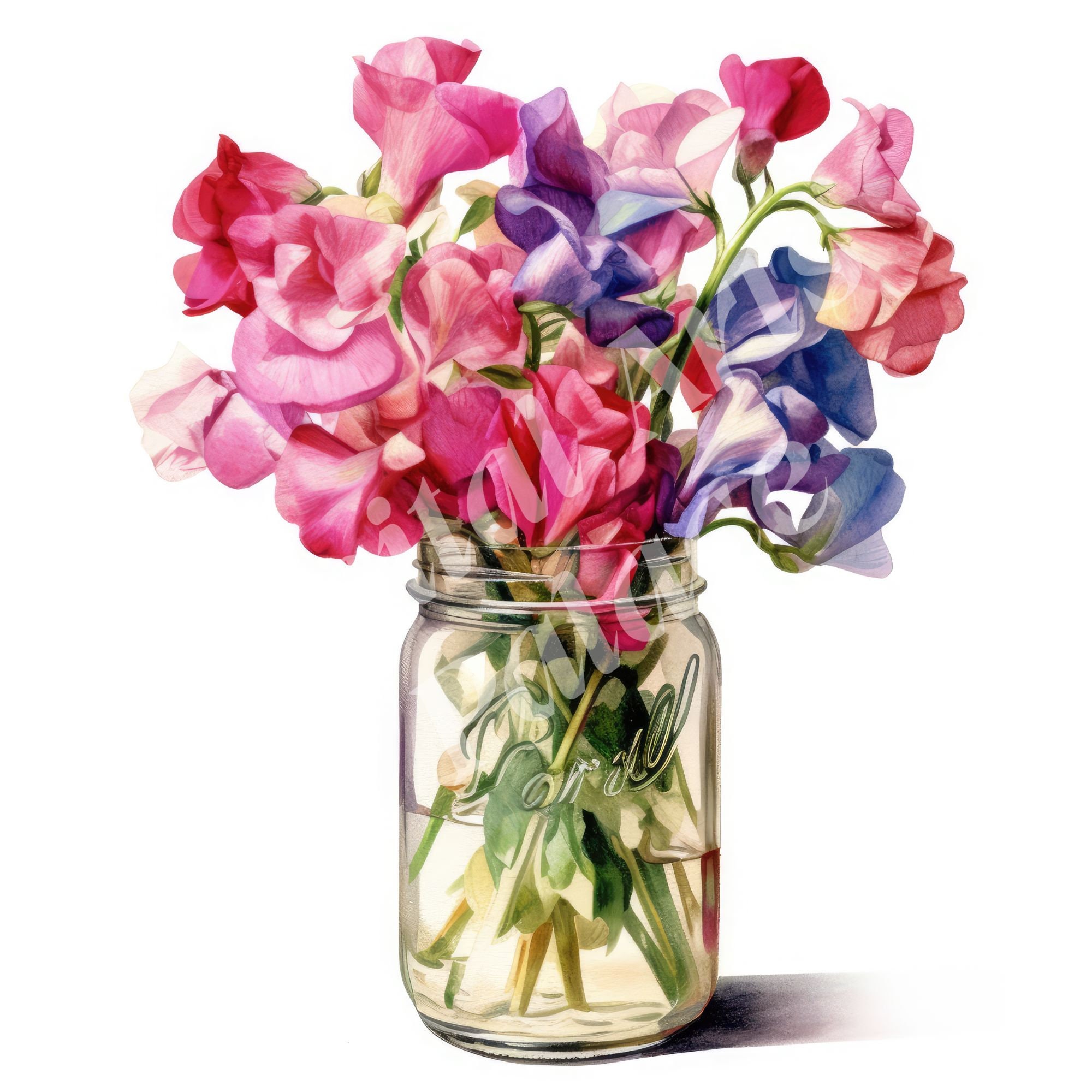 Sweet Peas Clipart April Birth Flower Clipart Pngs Instant - Etsy