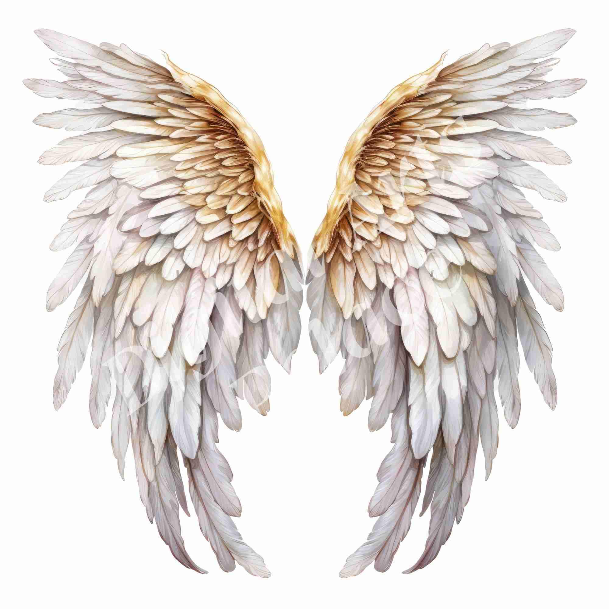 Angels Wings Clipart, Angelic Fantasy Clipart, Jpgs, Instant Digital ...