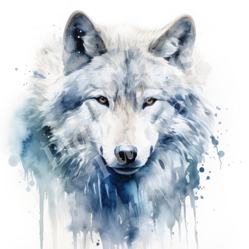 Wolf Clipart, Watercolor Arctic Wolf Clipart, Jpgs, Instant Digital ...