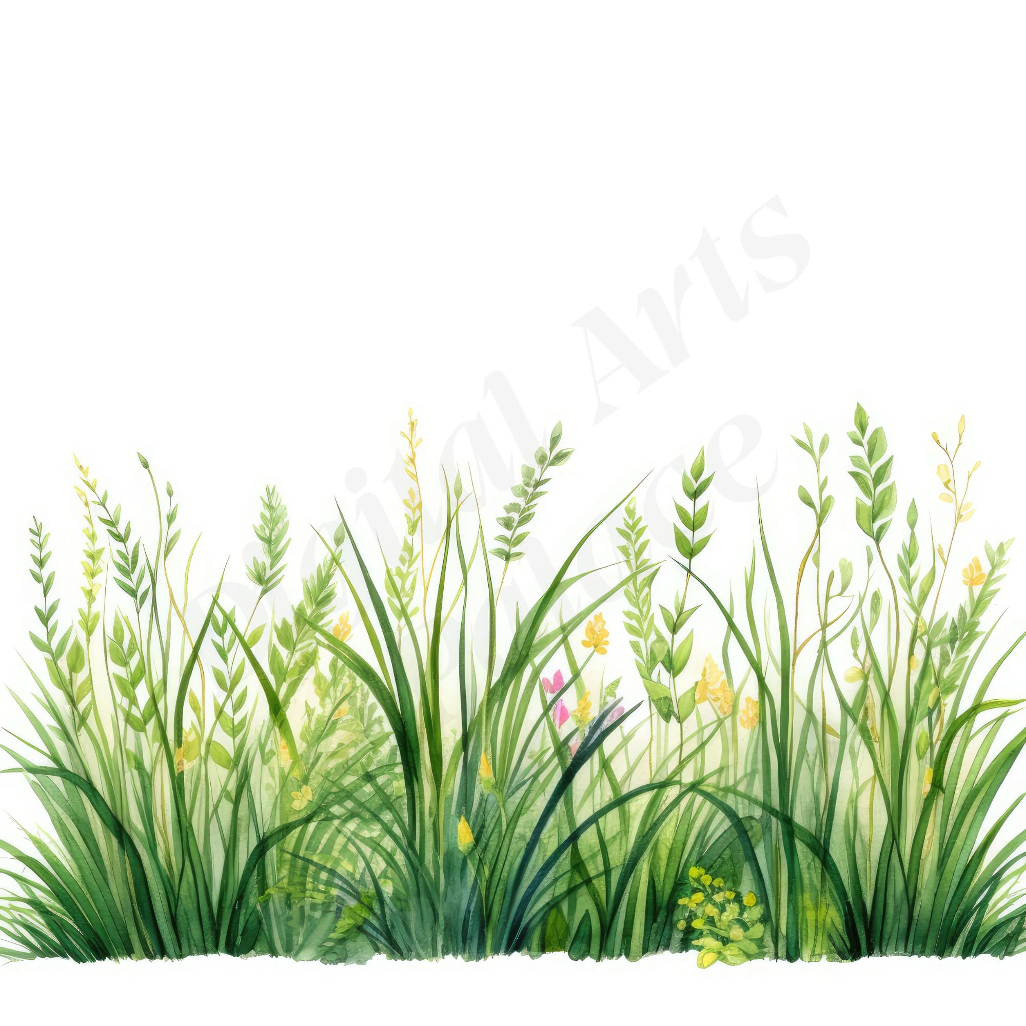 Grass Clipart Bundle, Green Meadow Clipart, Jpgs, Instant Digital ...