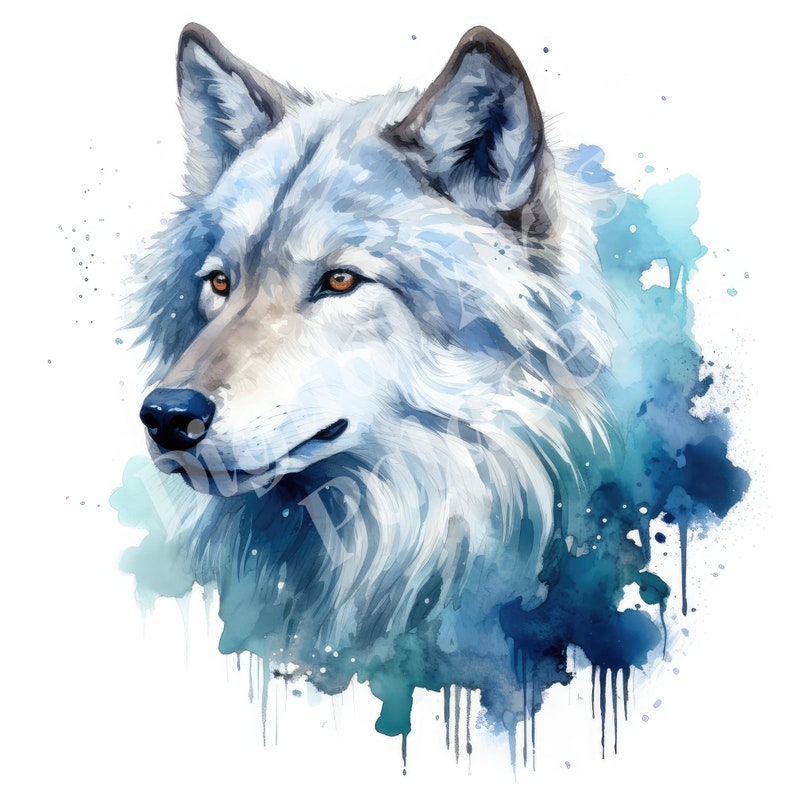 Wolf Clipart, Watercolor Arctic Wolf Clipart, Jpgs, Instant Digital ...