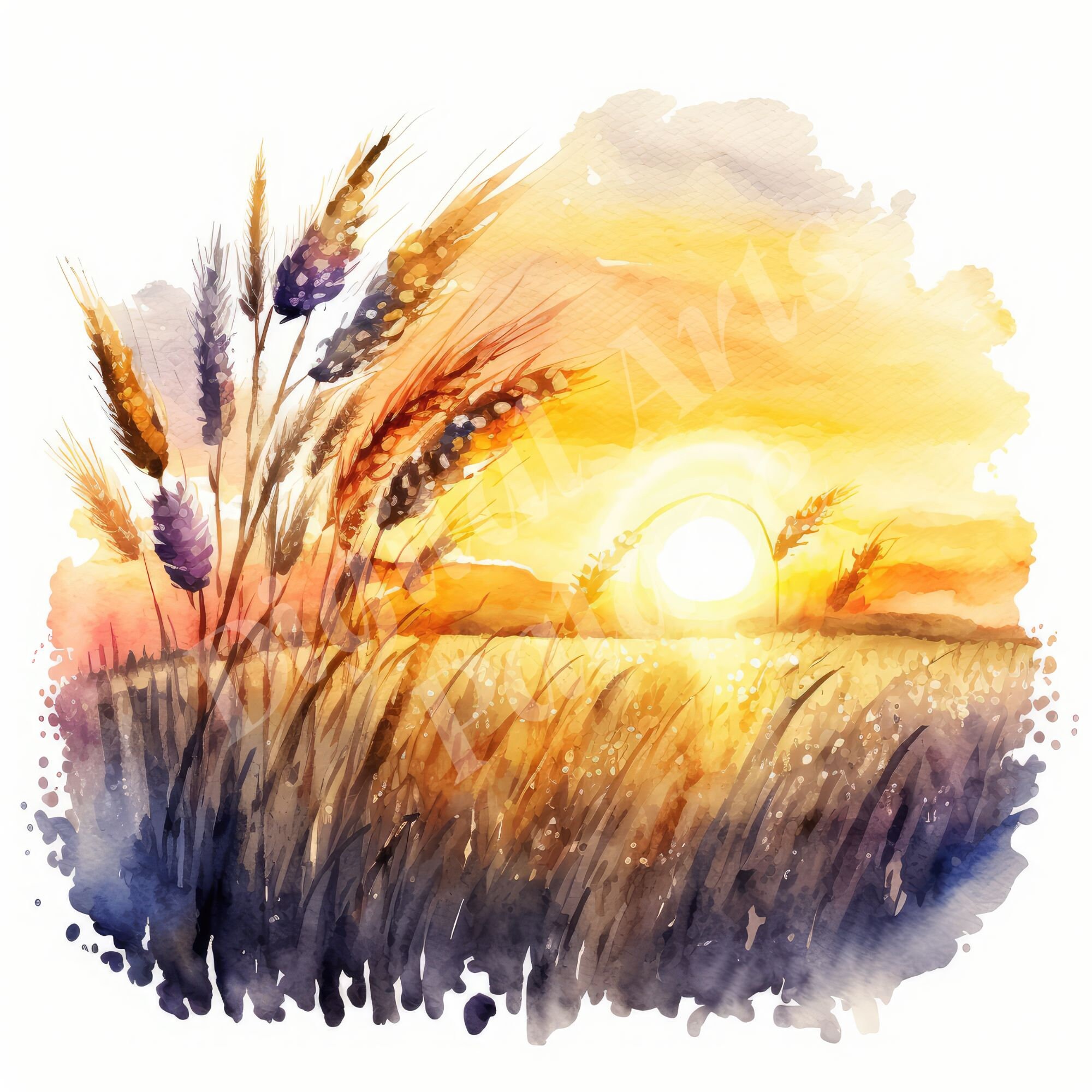 Wheat Field Clipart Fall Sunset Clipart Jpgs Instant - Etsy Canada