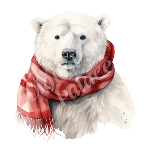 Polar Bear Clipart, Red Scarf Polar Bear Clipart, Jpgs, Instant Digital ...