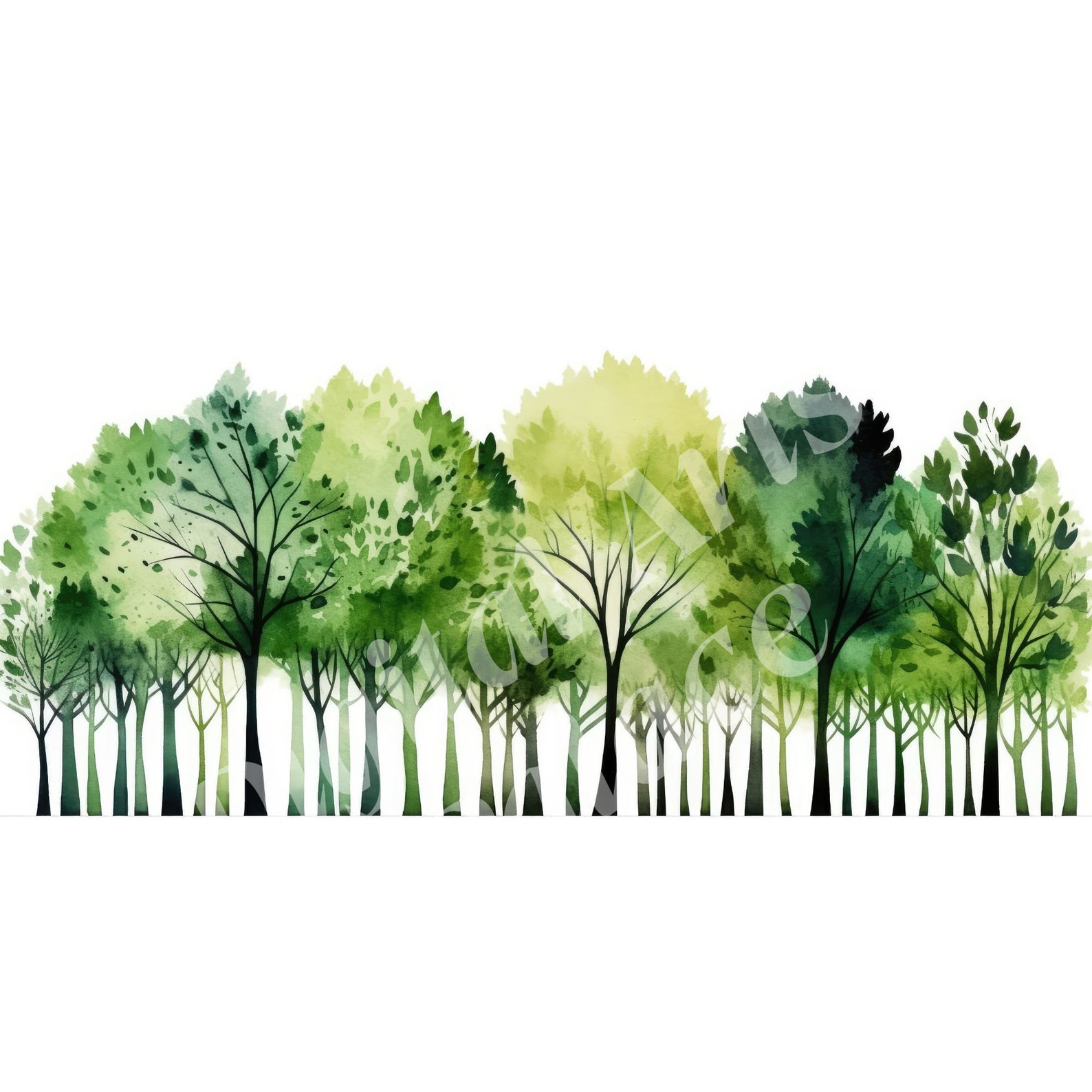Tree Border Clipart - Trees Watercolor Clipart - Jpgs - Instant Digital ...