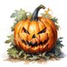 Jack-o-lantern Clipart Bundle - Halloween Pumpkin Clipart - Pngs ...
