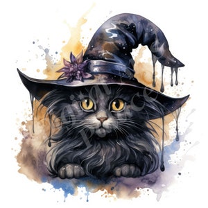 Witch's Cat Clipart Bundle - Fall Halloween Clipart - Jpgs - Instant ...