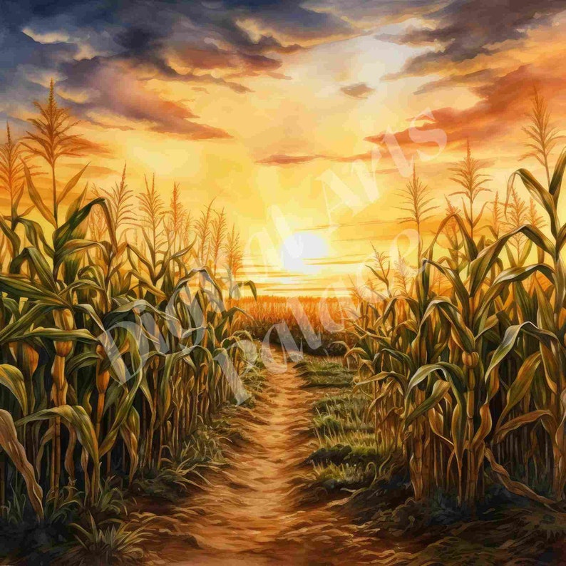 Corn Field Clipart Bundle Sunset Clipart Jpgs Instant Digital Download ...