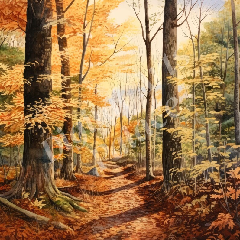 Fall Forest Trail Clipart Autumn Forest Clipart Jpgs - Etsy