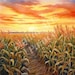 Corn Field Clipart Bundle Sunset Clipart Jpgs Instant Digital Download ...