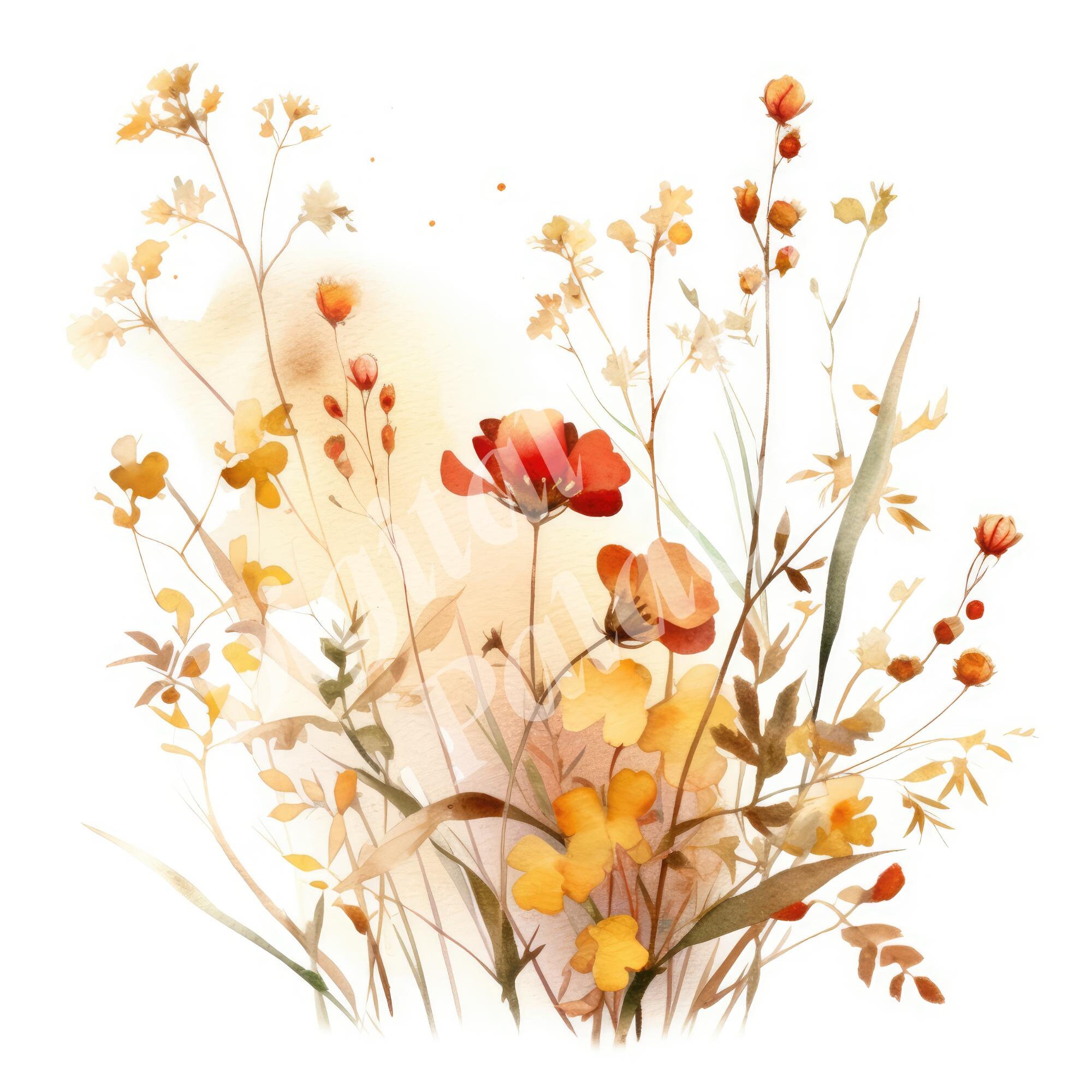 Fall Wildflowers Clipart, Watercolor Flowers Clipart, Jpgs, Instant ...
