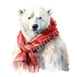 Polar Bear Clipart, Red Scarf Polar Bear Clipart, Jpgs, Instant Digital ...