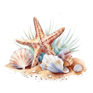 Seashells Clipart - Summer Beach Clipart - Jpgs - Instant Digital ...