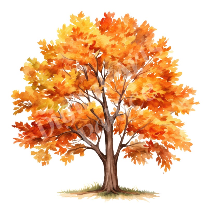Fall Tree Clipart, Autumn Tree Clipart, Jpgs, Instant Digital Download ...