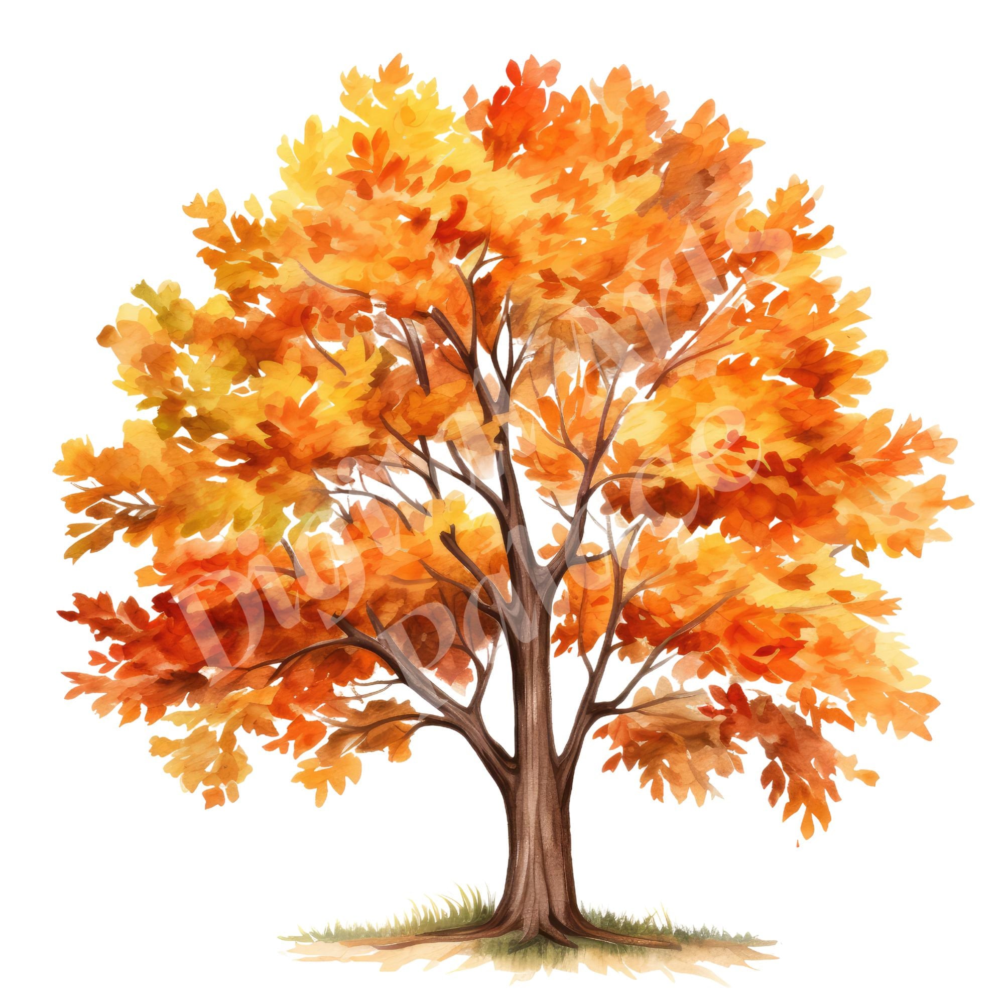 Fall Tree Clipart, Autumn Tree Clipart, Jpgs, Instant Digital Download ...