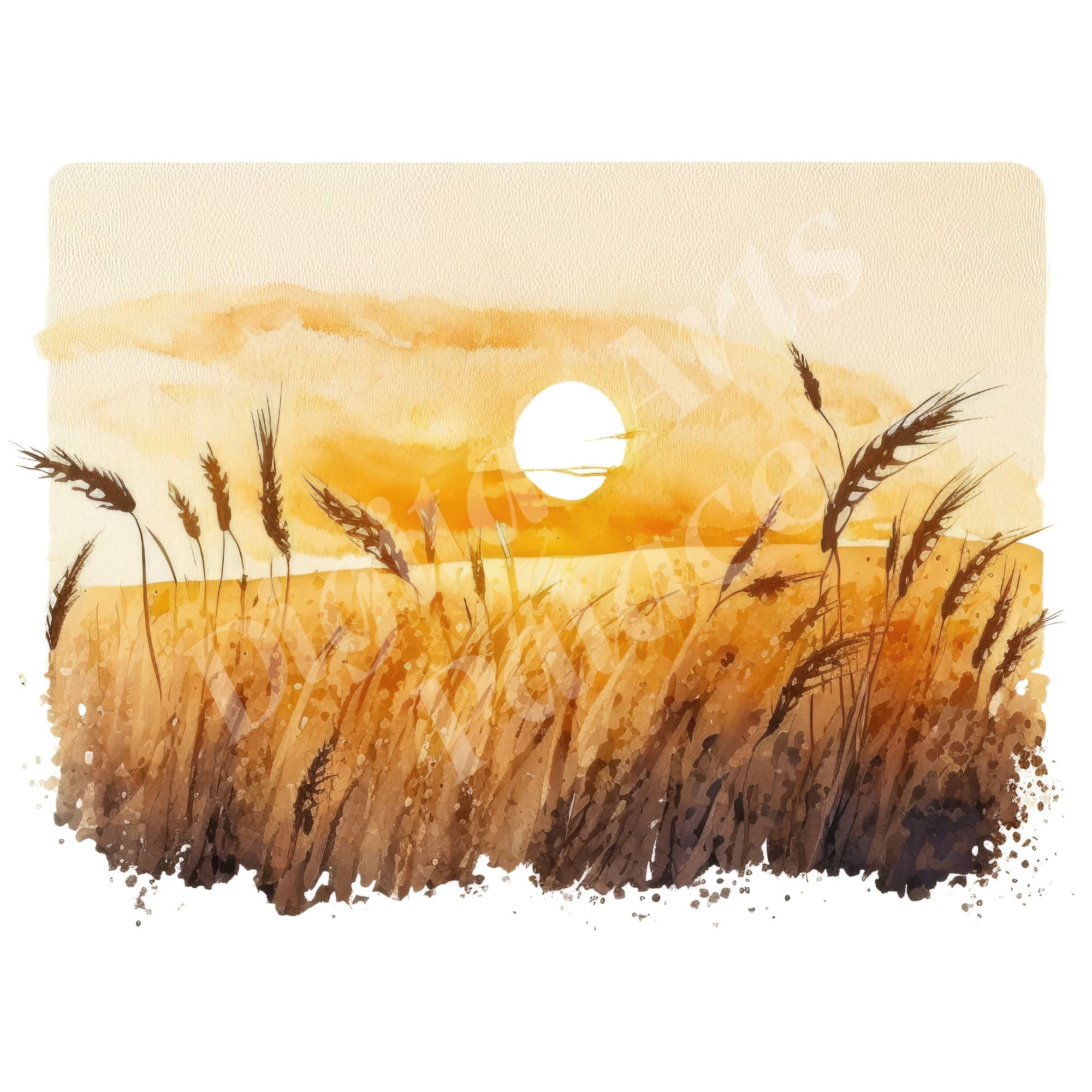 Wheat Field Clipart, Fall Sunset Clipart, Jpgs, Instant Digital ...