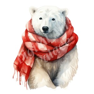 Polar Bear Clipart, Red Scarf Polar Bear Clipart, Jpgs, Instant Digital ...