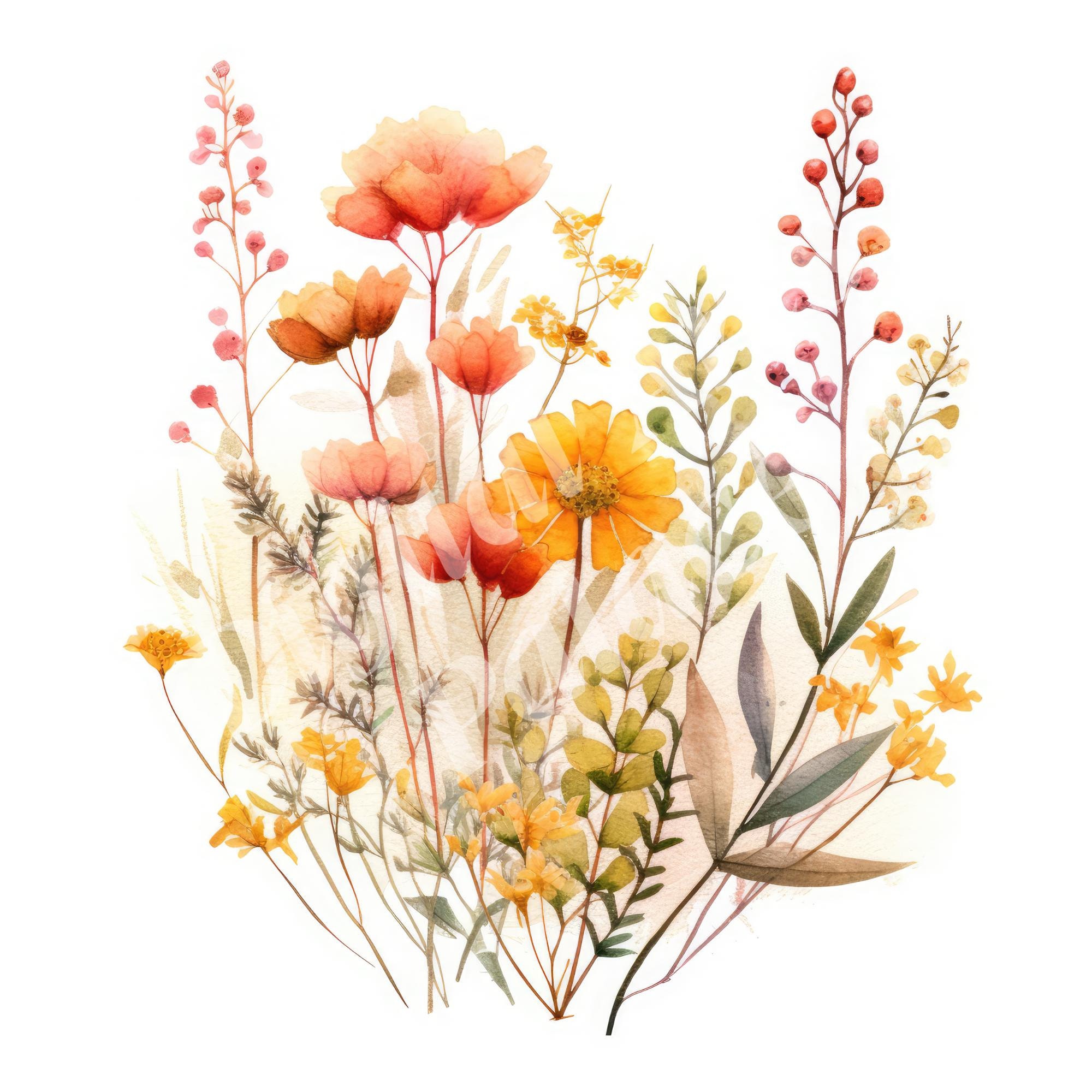 Fall Wildflowers Clipart, Watercolor Flowers Clipart, Jpgs, Instant ...