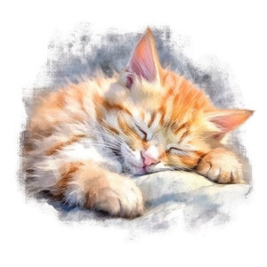 Sleeping Cat Clipart - Cute Cat Watercolor Clipart - Jpgs - Instant ...